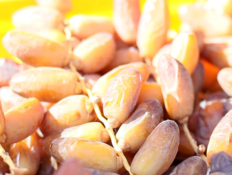 attaoufik dattes, deglet nour tunisie, dattes tunisie,dattes bio ...